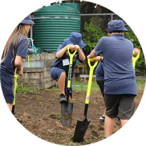 Waimahia Intermediate School